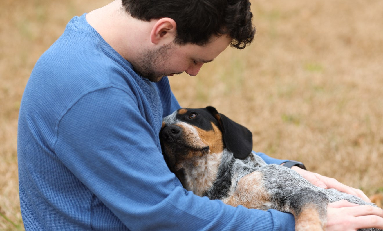 Why Is Your Dog Shaking?