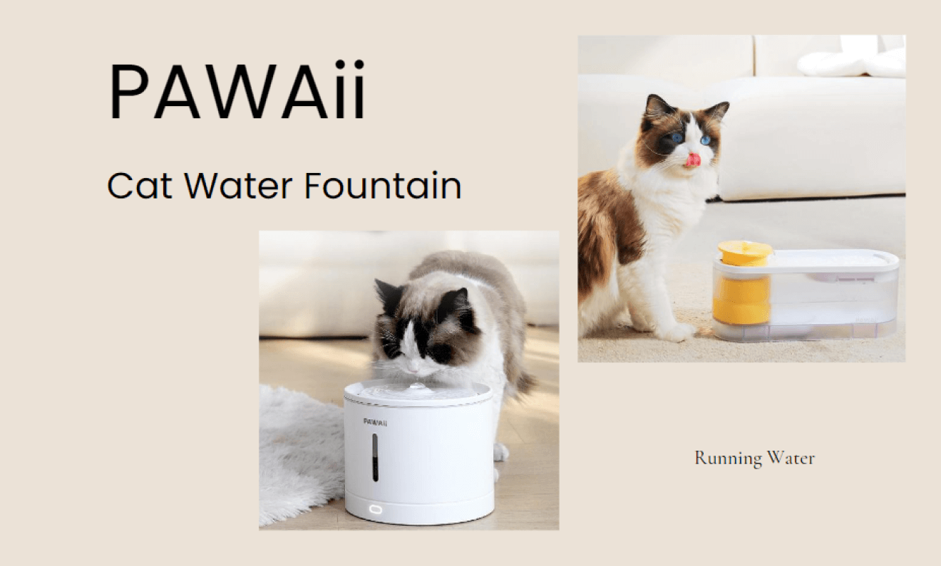 How To Choose a Cat Water Fountain?