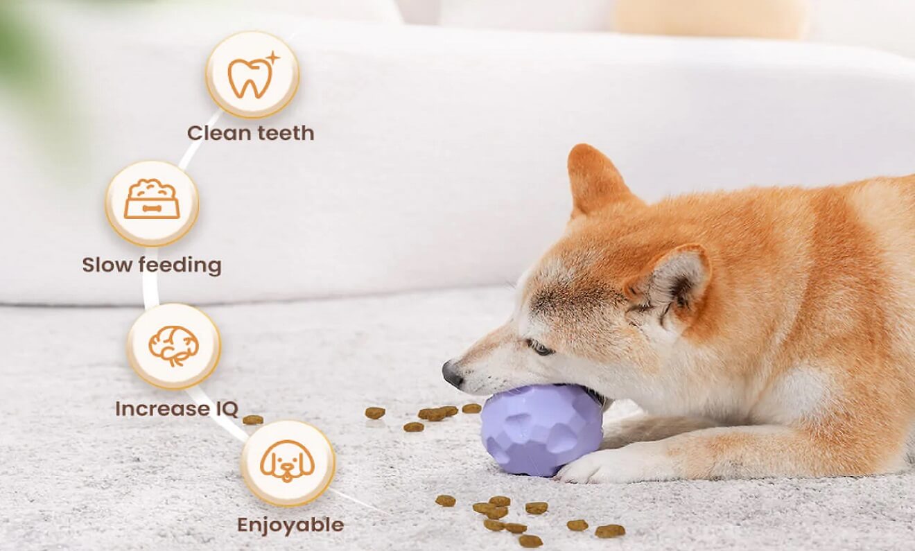 How to Pick Treat Dispensing Toys for Your Dog?